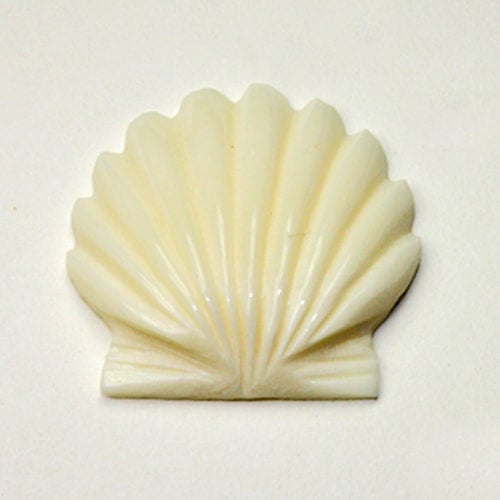Bone Scallop Shell Carving | D.E.L.S. Nantuckets