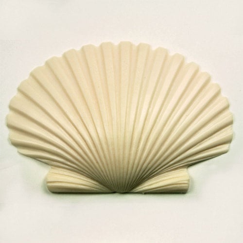 Acrylic Wide Scallop Shell | D.E.L.S. Nantuckets
