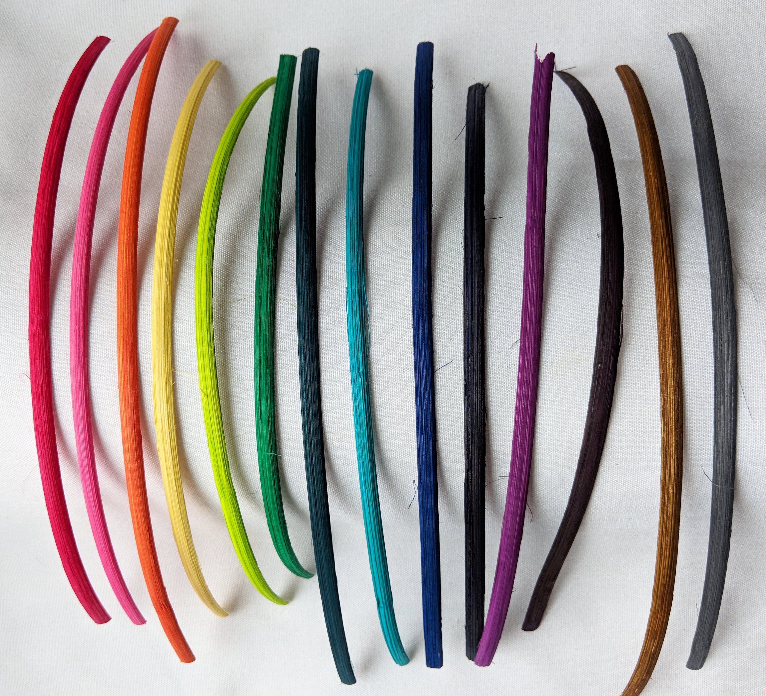 Dyed Flat Oval Reed | D.E.L.S. Nantuckets